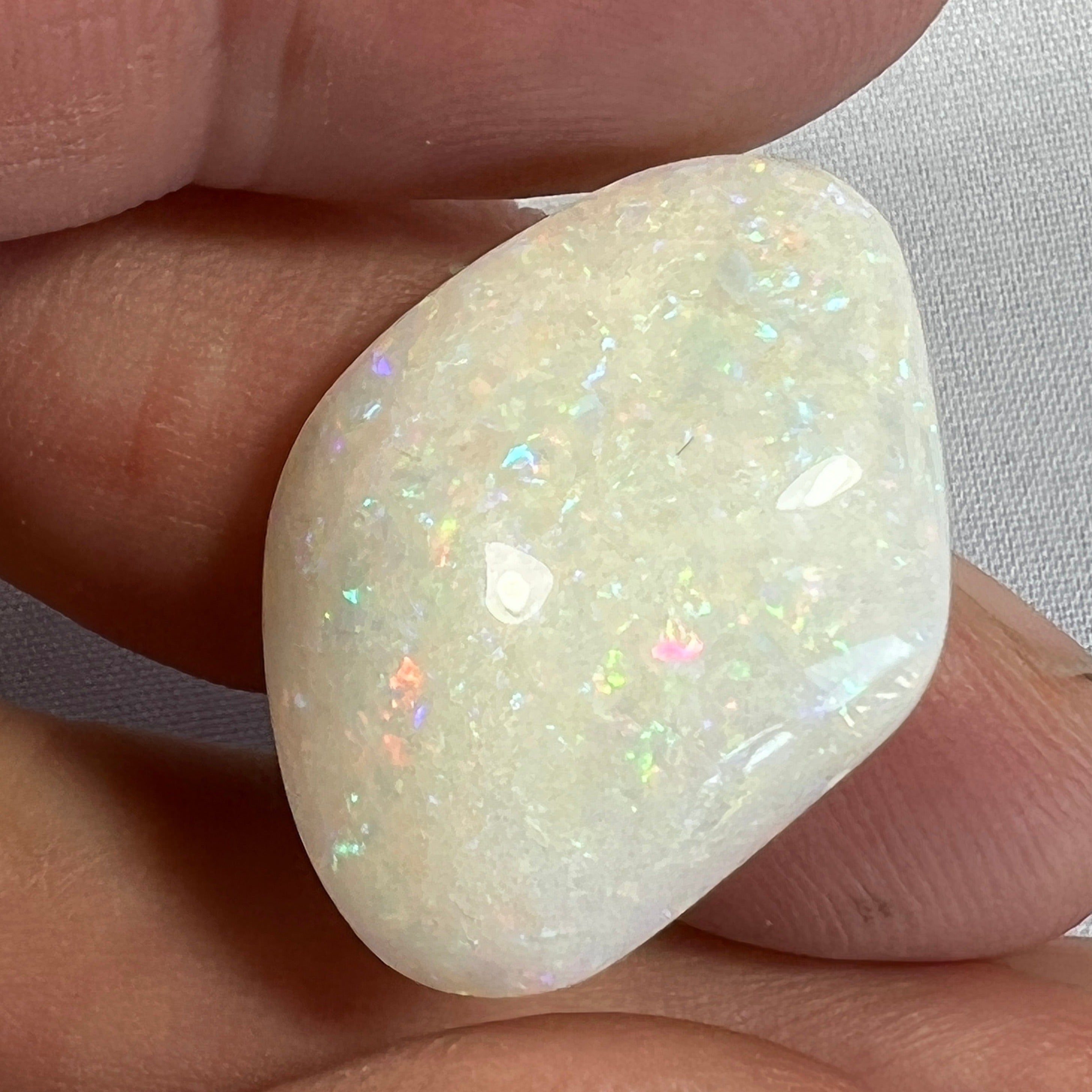 Solid White Fossilised Shell Opal – Opal Nation AU
