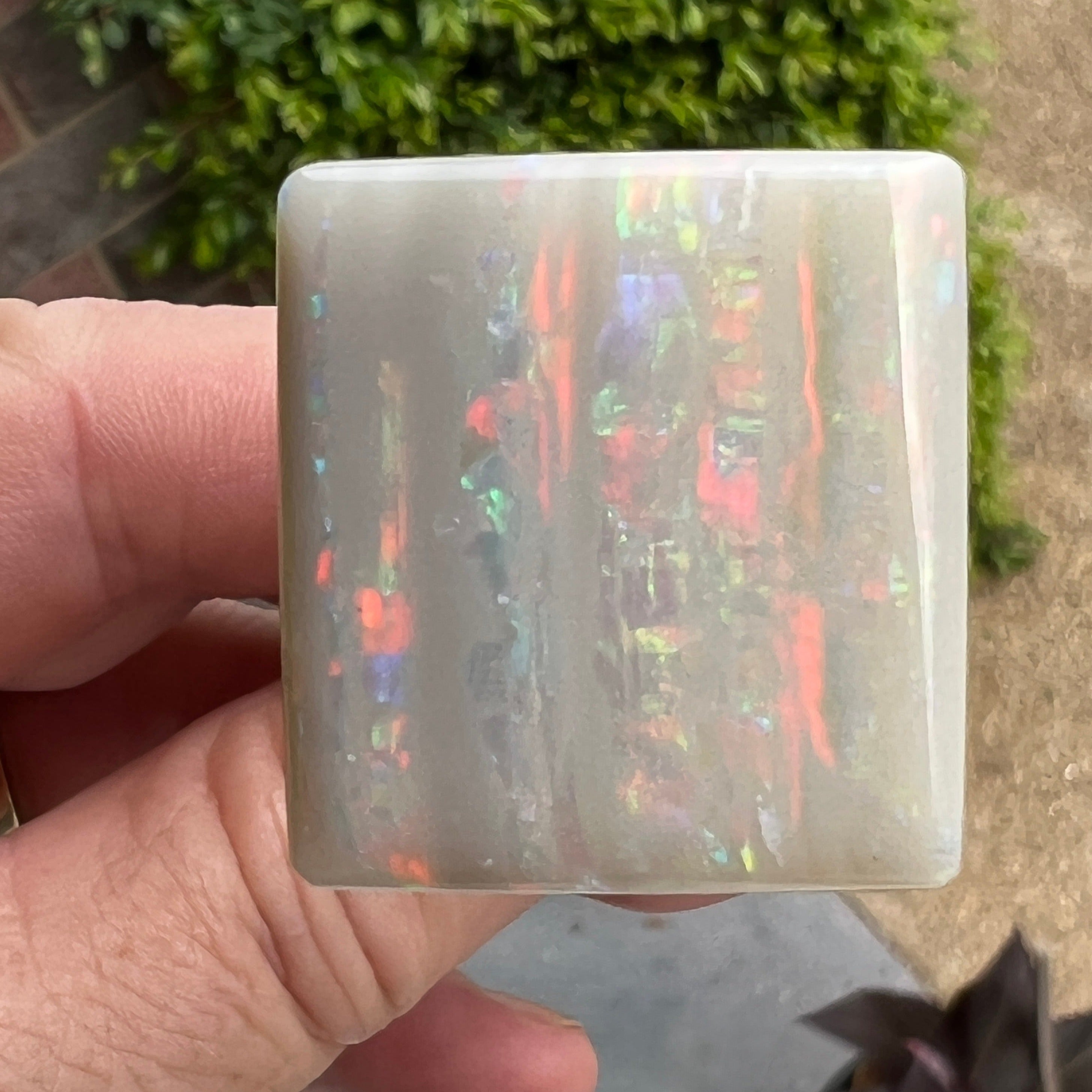 Grawin Solid Vertical Mulga Opal – Opal Nation AU
